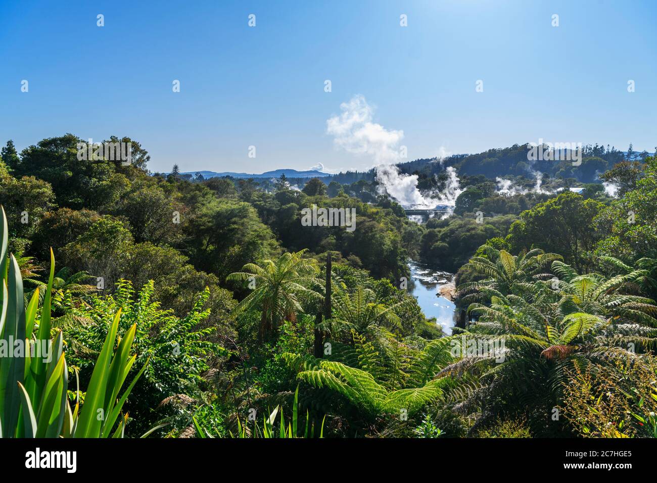 Rotorua overview hi-res stock photography and images - Alamy