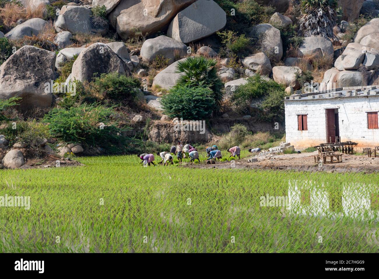 Group of farm workers with a small farmhouse Stock Photo - Alamy