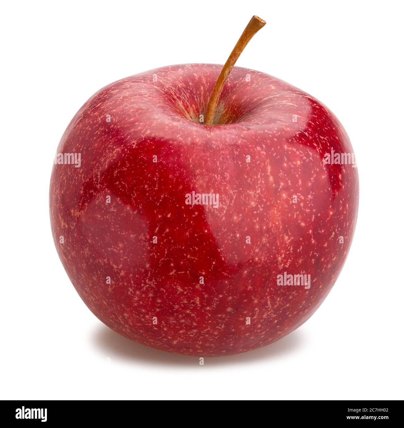 Apple Stalk Texture