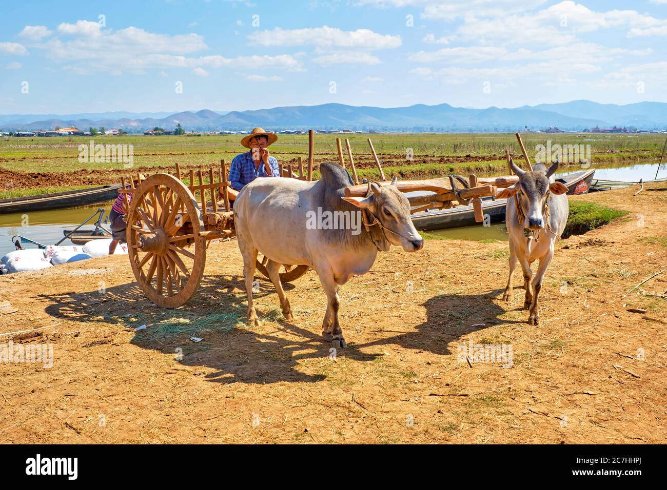 Oxen drawn traditional hi-res stock photography and images - Alamy
