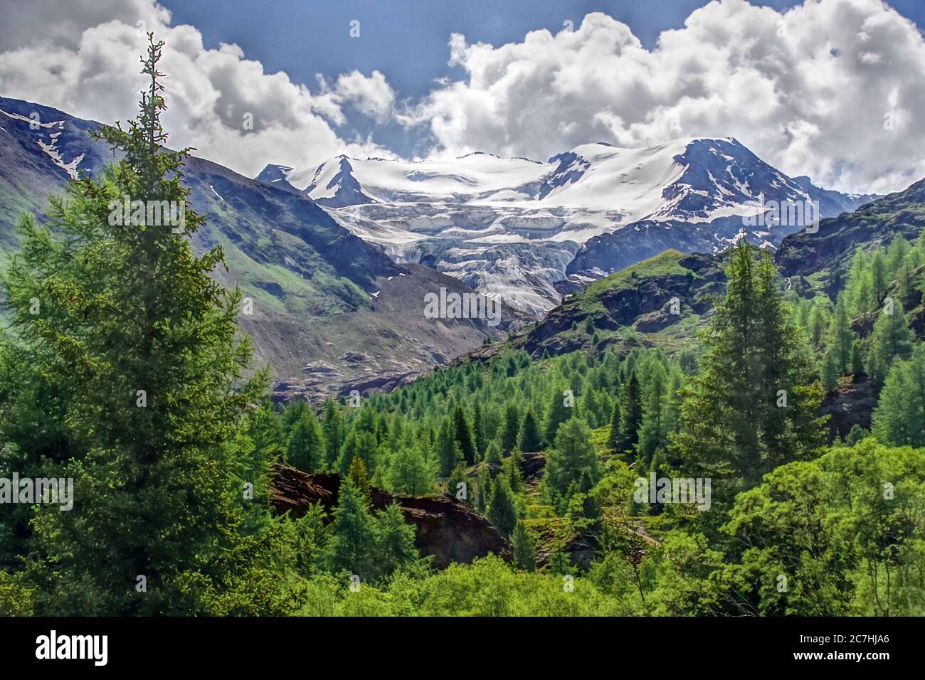 The Forni glacier stands out with all its grandeur topped by white ...