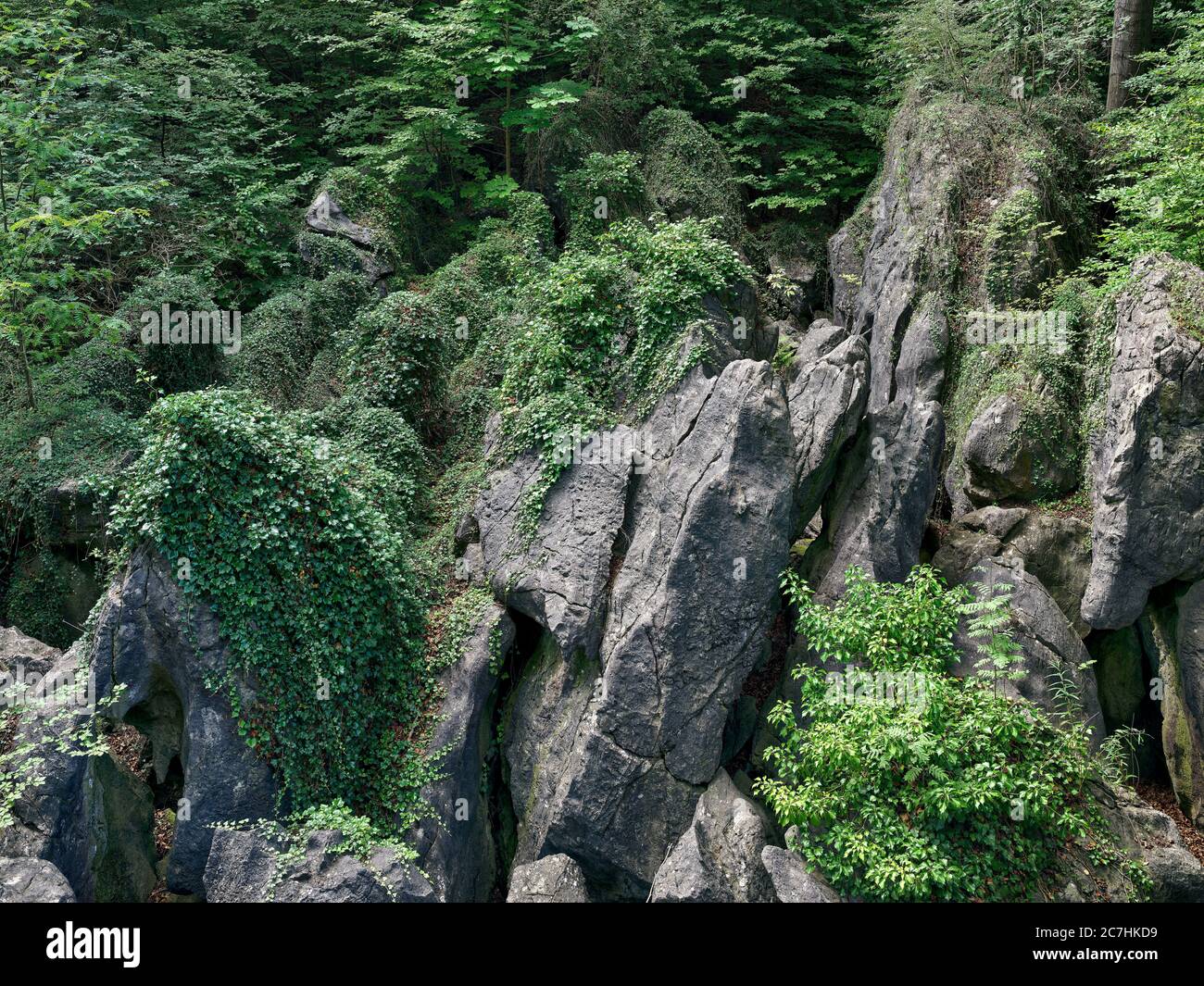 Rocks, stones, boulders, trees, forest, deciduous forest, hills, gorge ...