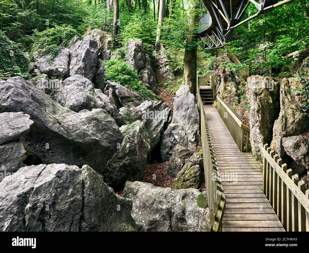 Rocks, stones, boulders, trees, forest, deciduous forest, hills, gorge ...