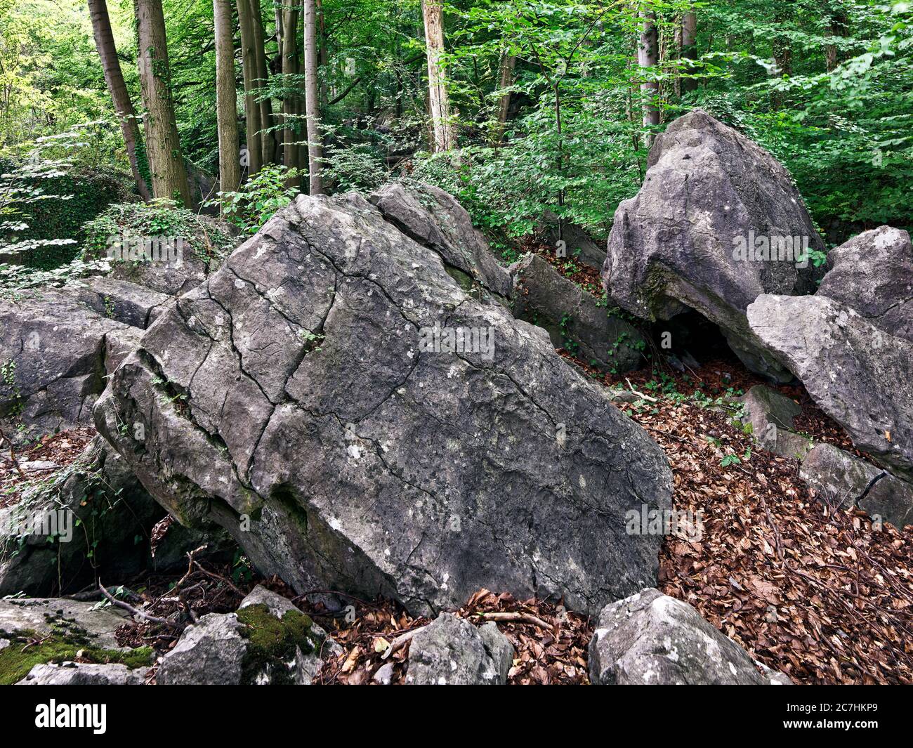 Rocks, stones, boulders, trees, forest, deciduous forest, hills, gorge ...