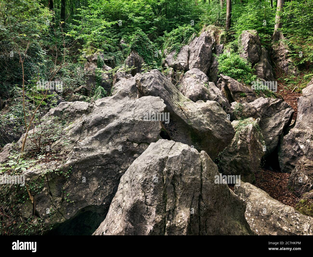 Rocks, stones, boulders, trees, forest, deciduous forest, hills, gorge ...