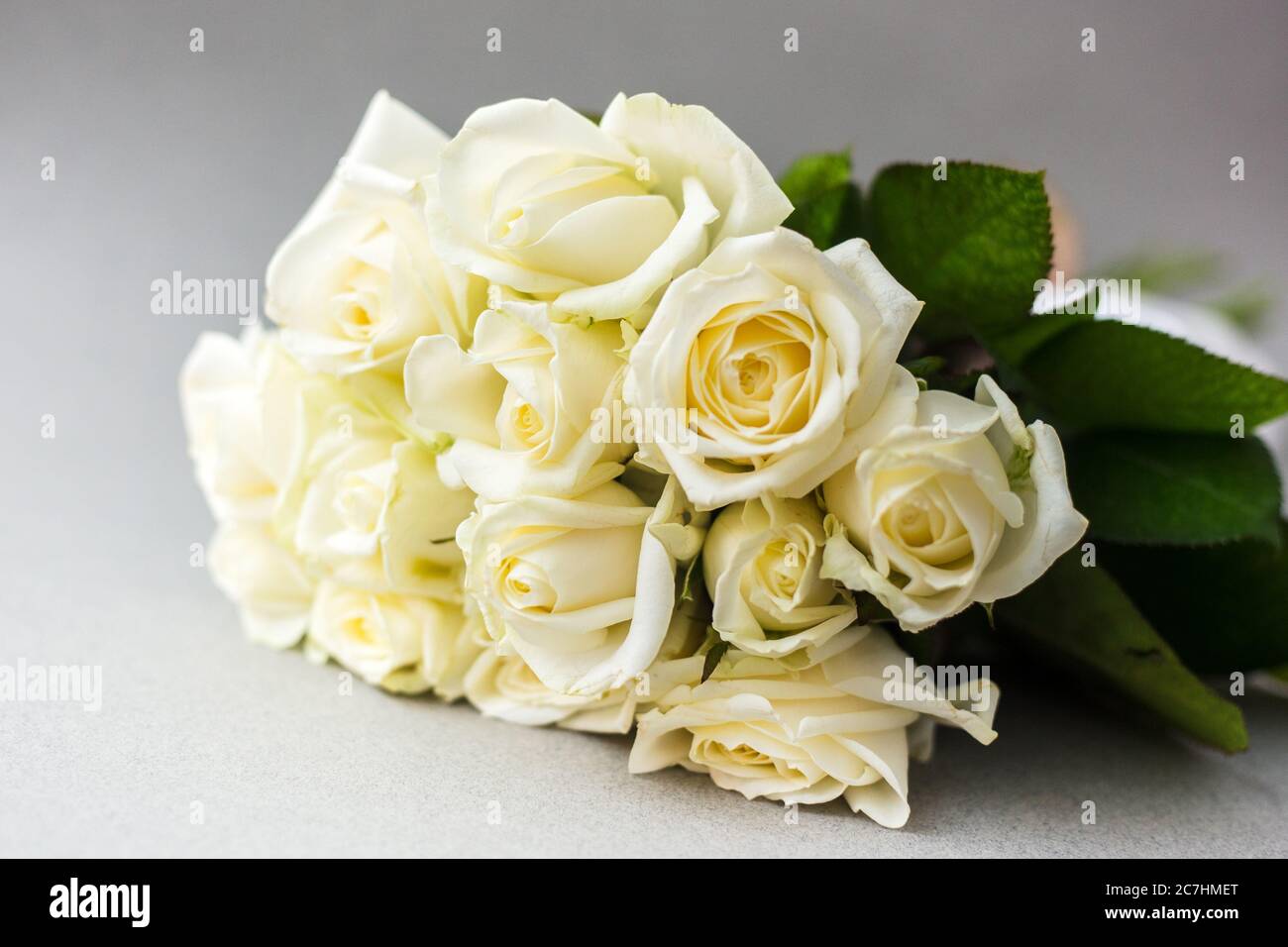 Beautiful white roses hi-res stock photography and images - Alamy