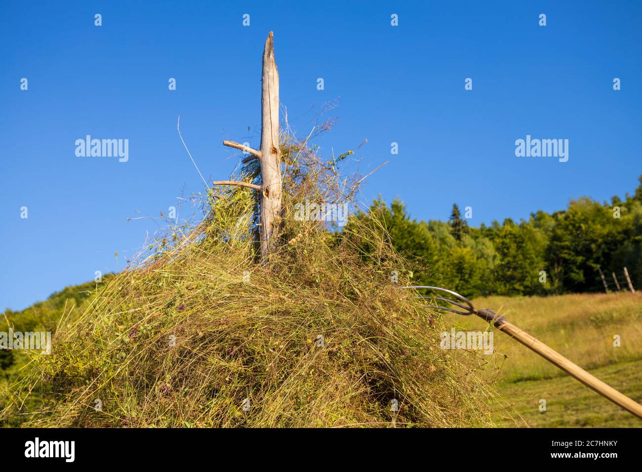 Making hay stack. Rural Scene , Transilvania Romania Stock Photo - Alamy
