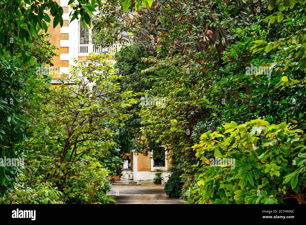 Trees with path hi-res stock photography and images - Alamy