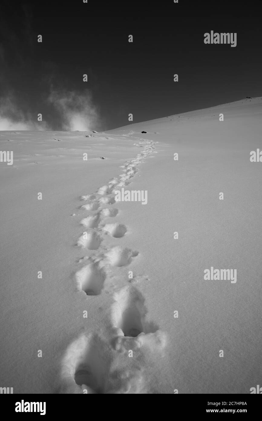 Footprints in the snow, winter, mountain Stock Photo - Alamy