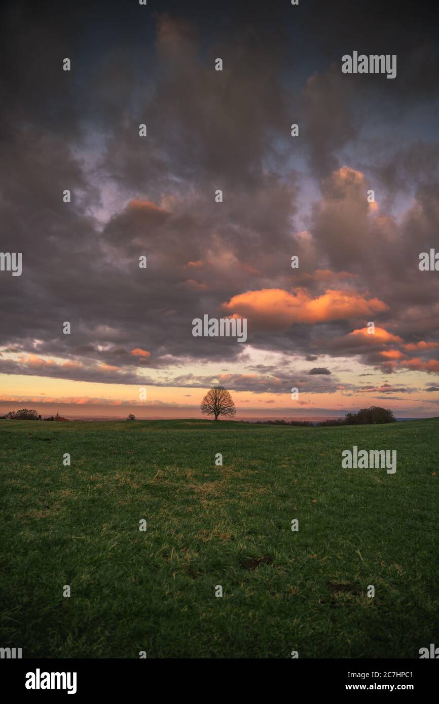 Tree and sunset hi-res stock photography and images - Alamy