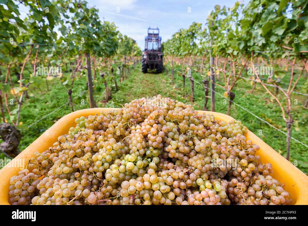 Collection container hi-res stock photography and images - Alamy