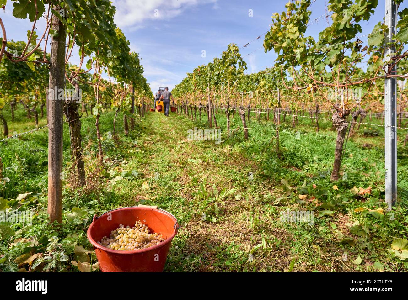 Vintage reading hi-res stock photography and images - Alamy