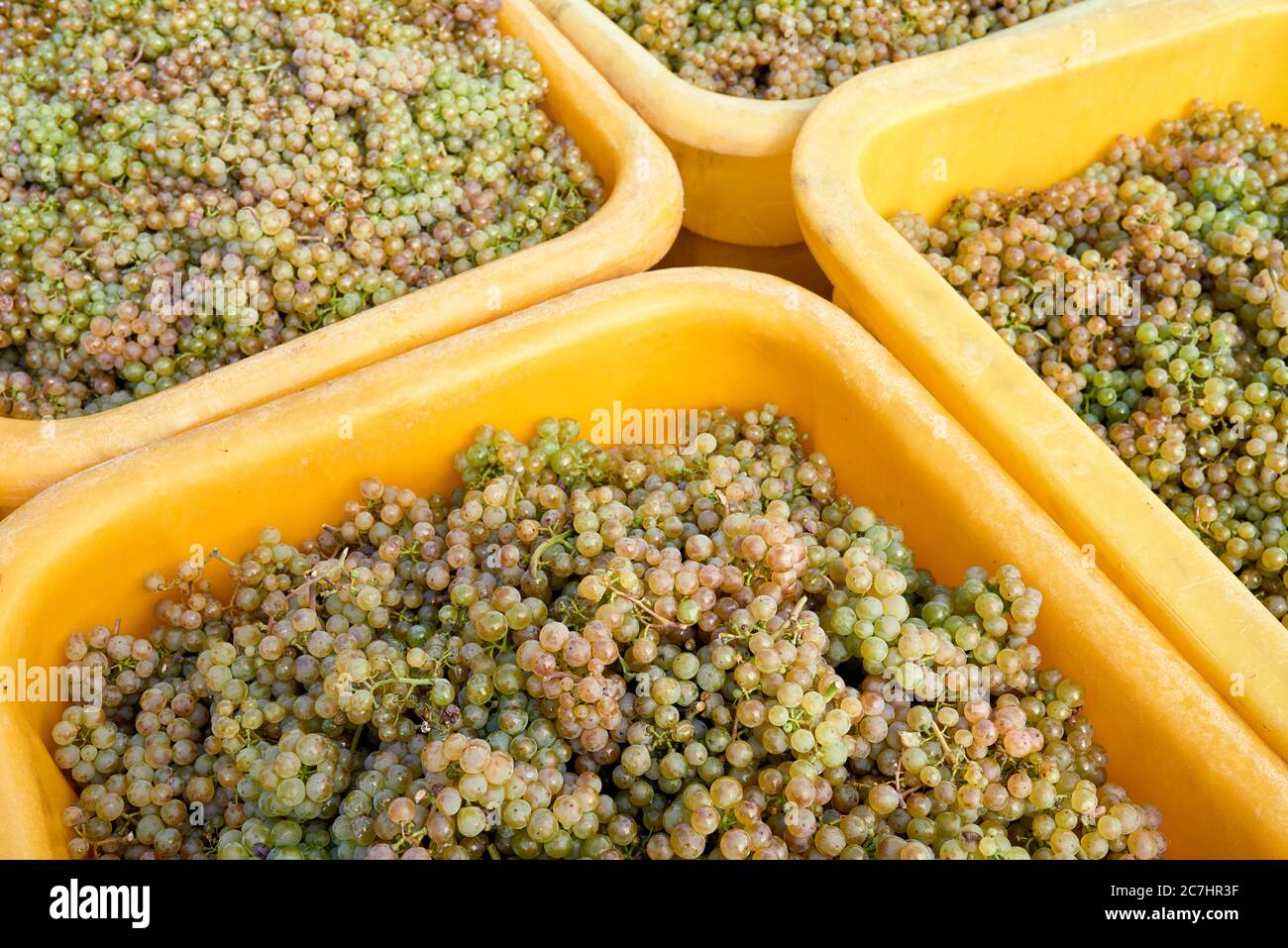 Collection container hi-res stock photography and images - Alamy