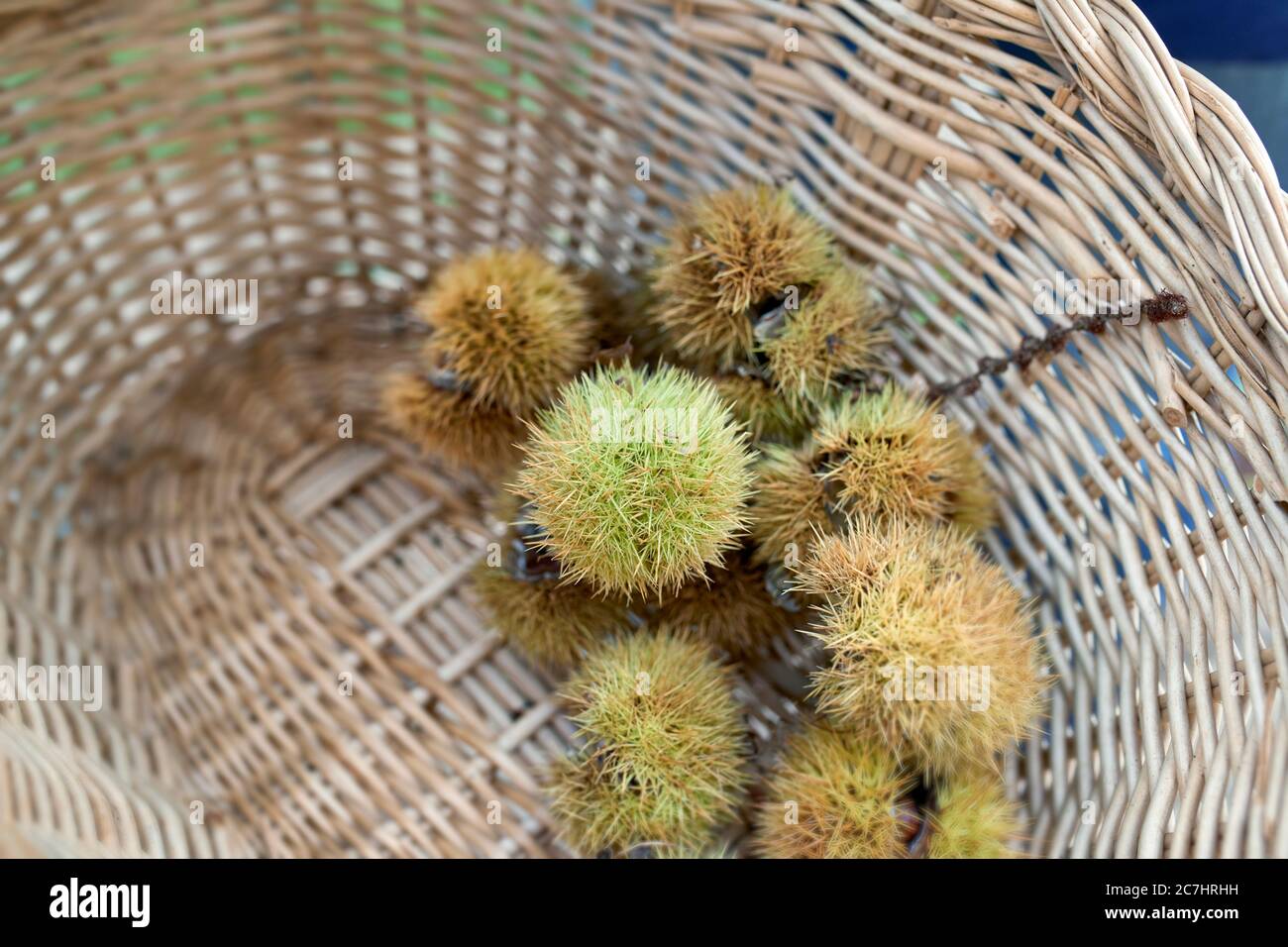 With shell and without shell hi-res stock photography and images - Alamy