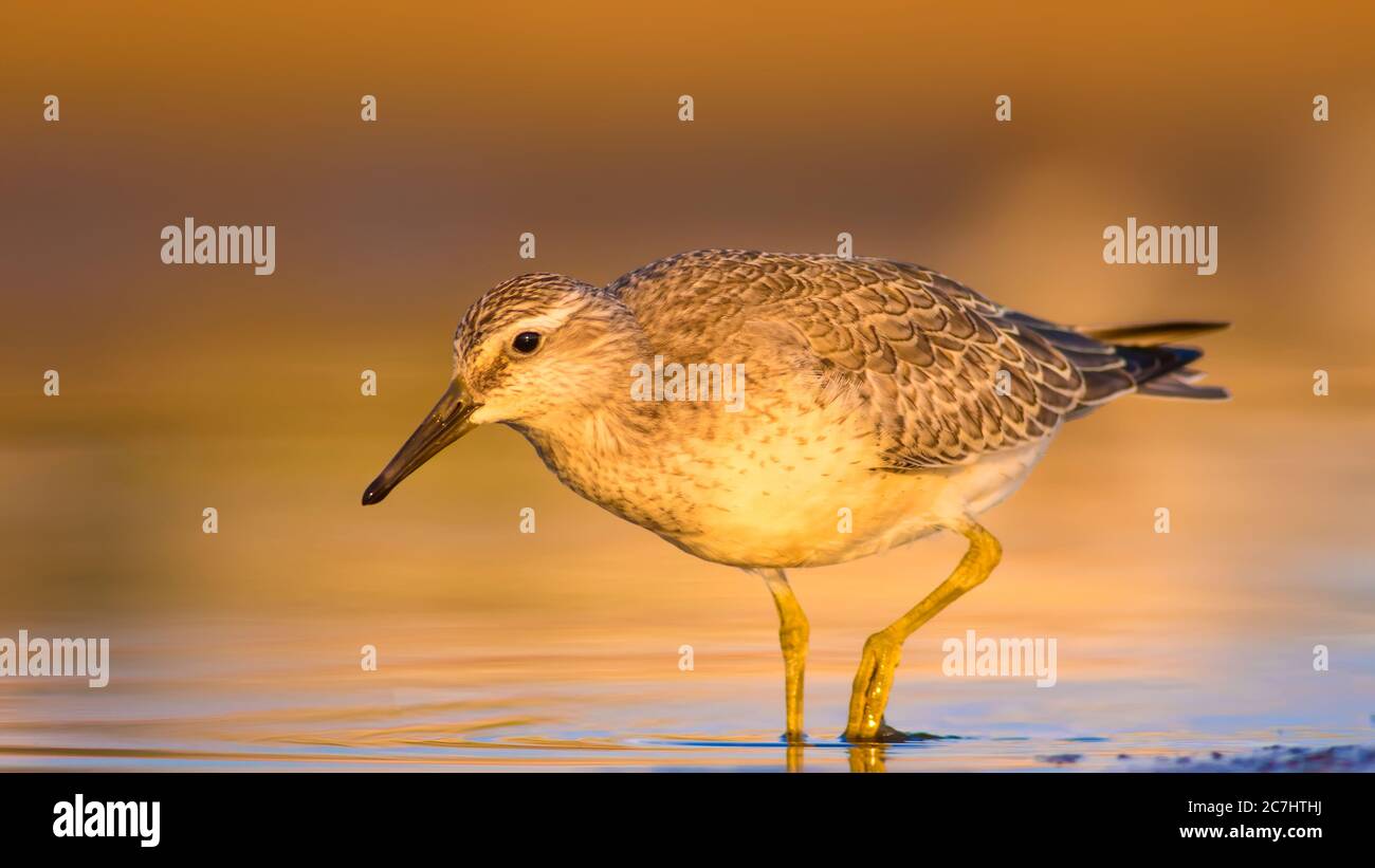 Nwater hi-res stock photography and images - Alamy