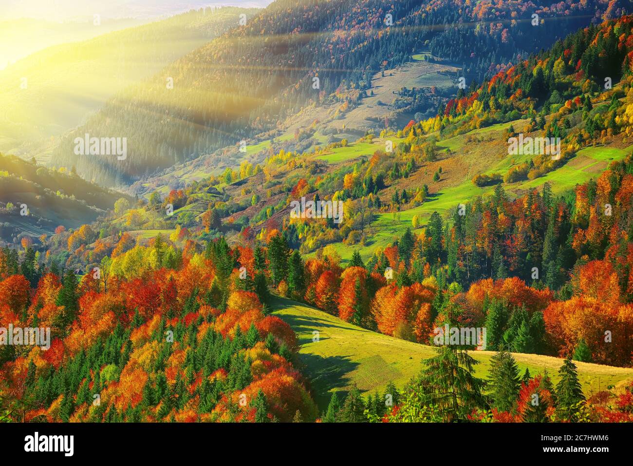 the mountain autumn landscape with colorful forest. Bright sunny ...
