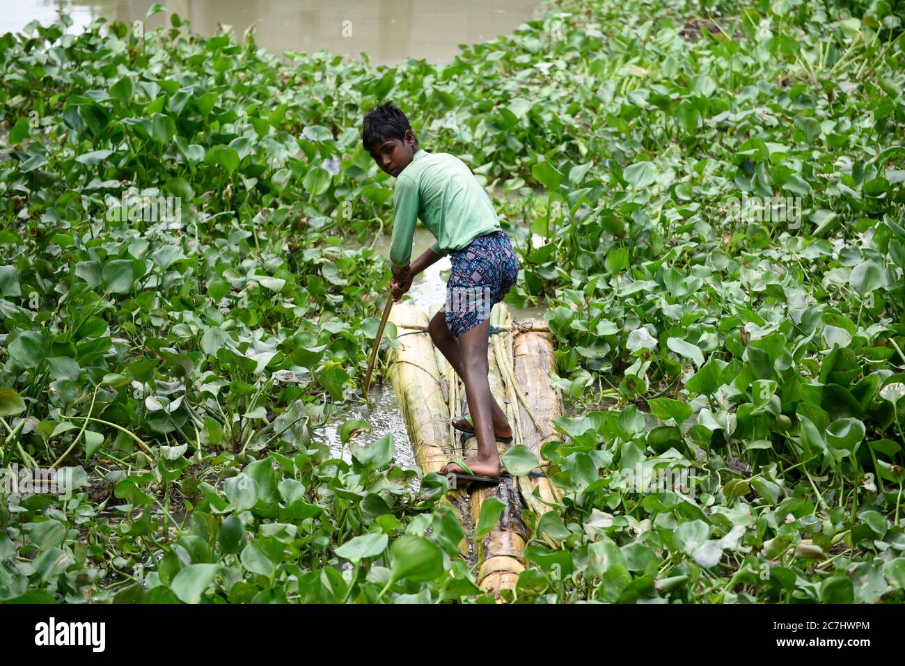 Morigaon, India. 17th July, 2020. A boy uses a banana tree raft to move ...