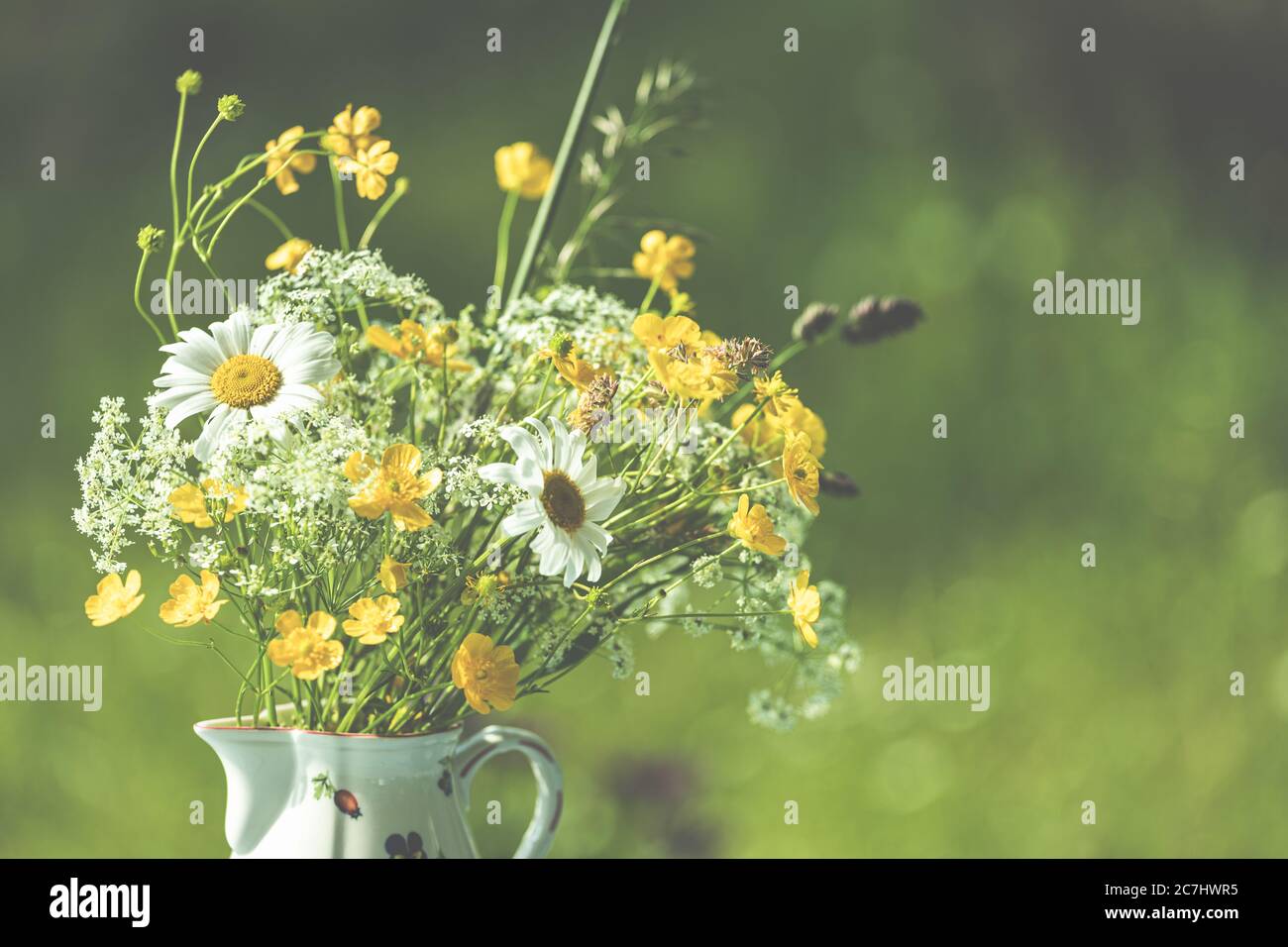 Group daisies flower garden hi-res stock photography and images - Alamy