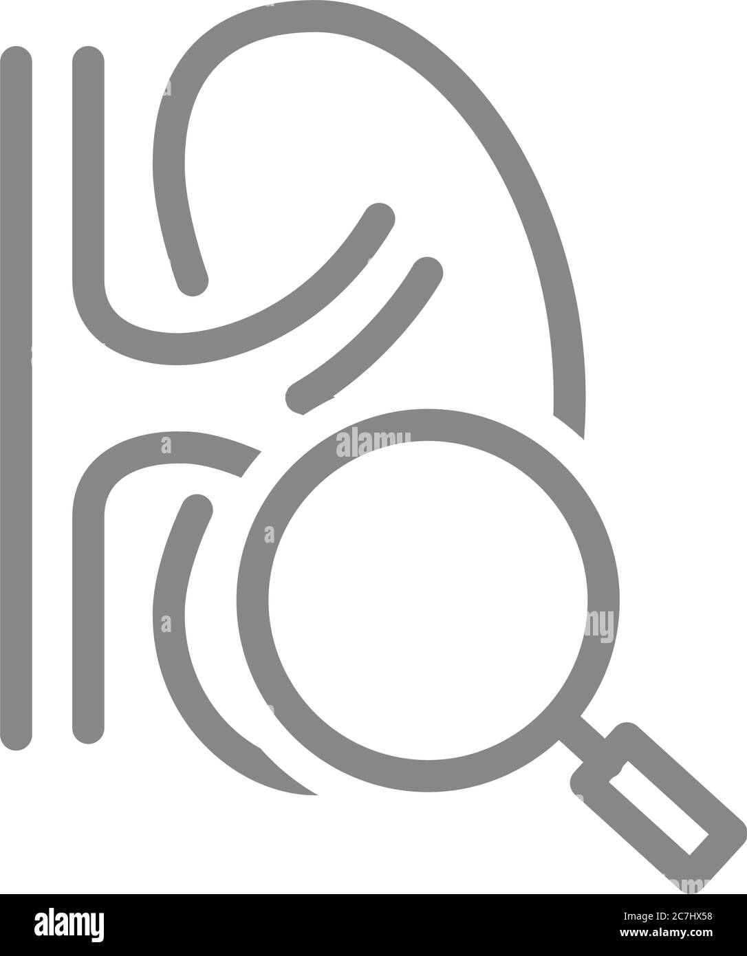 Kidney with magnifying glass line icon. Organ research, disease prevention symbol Stock Vector ...