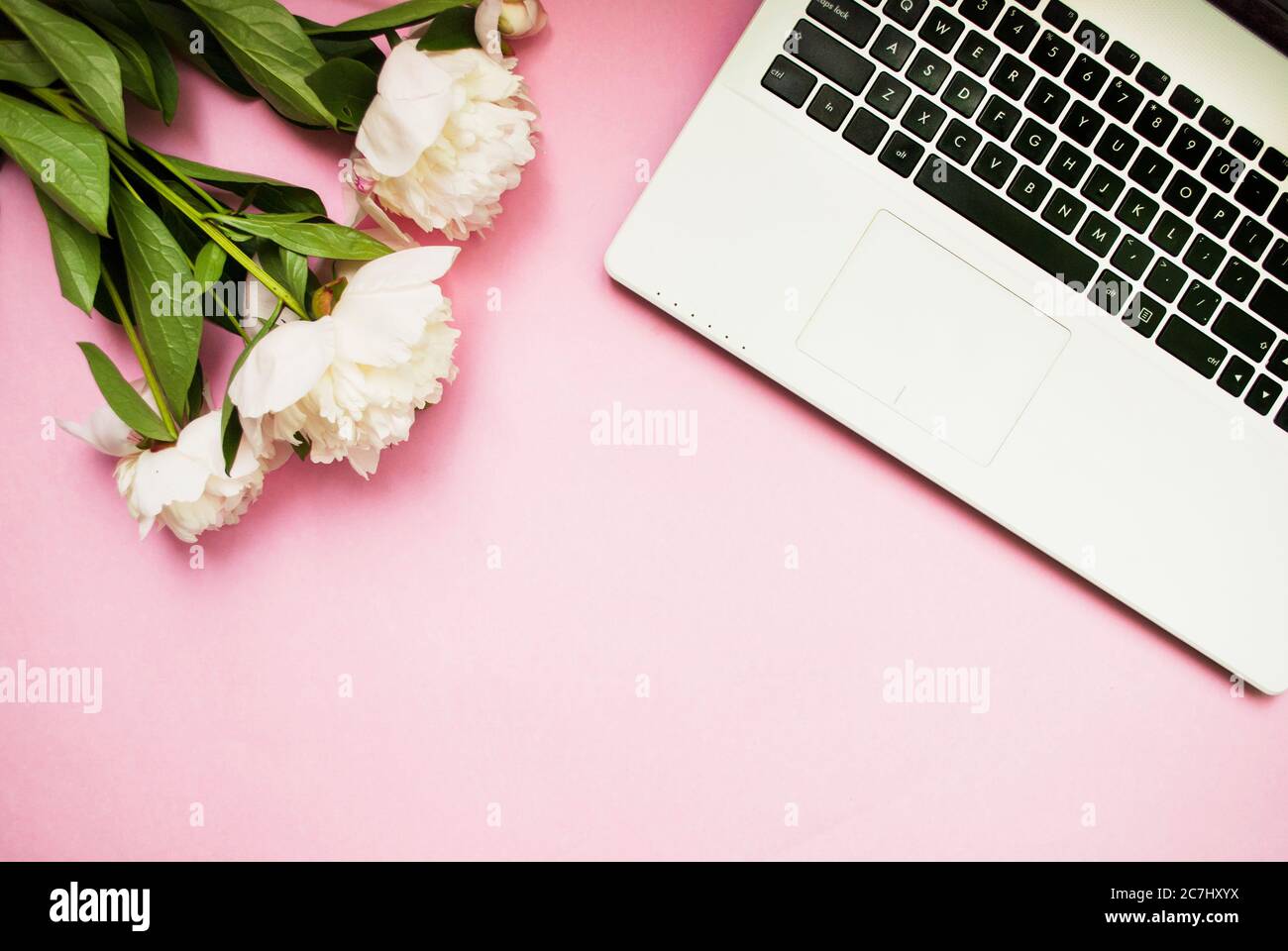 Laptop keyboard and white flowers, pink background. Place for text ...