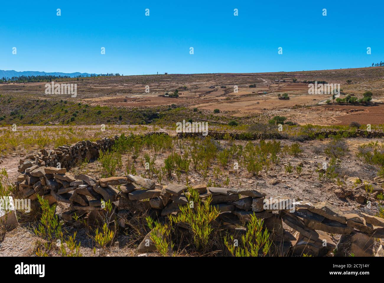 High-altitude farming in the Parque Nacional Tototoro, National Park ...