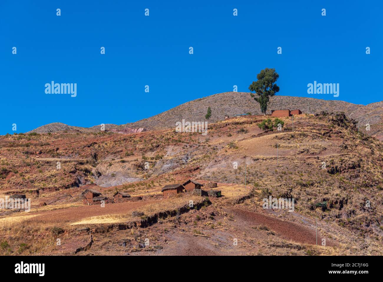 High-altitude farming in the Parque Nacional Tototoro, National Park ...