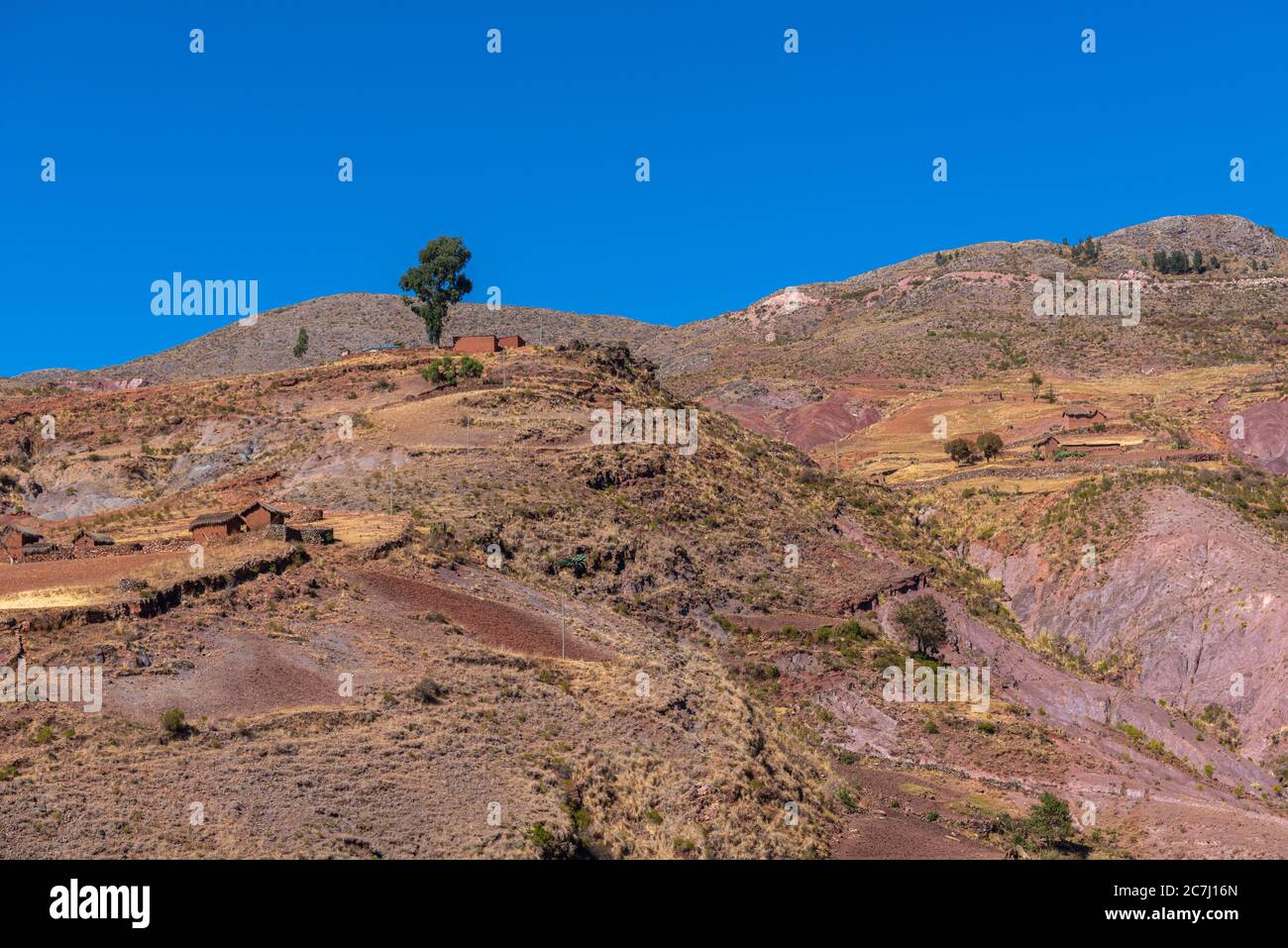 High-altitude farming in the Parque Nacional Tototoro, National Park ...
