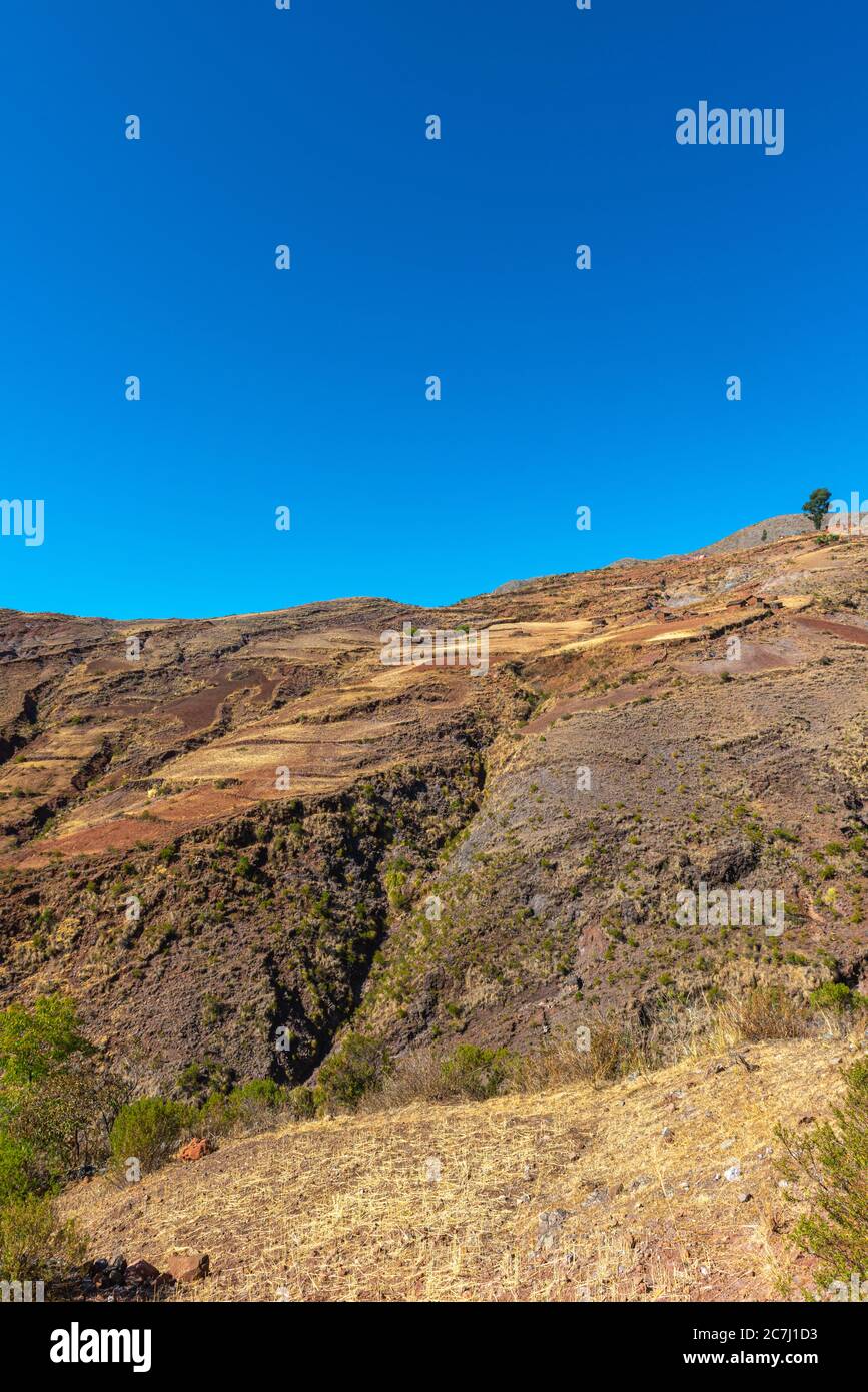 High-altitude farming in the Parque Nacional Tototoro, National Park ...