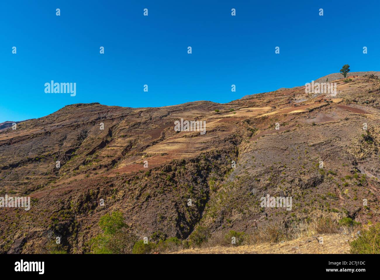 High-altitude farming in the Parque Nacional Tototoro, National Park ...