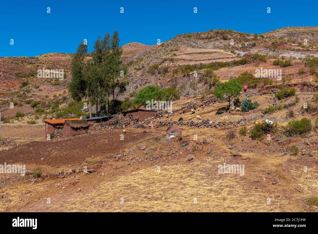 High-altitude farming in the Parque Nacional Tototoro, National Park ...