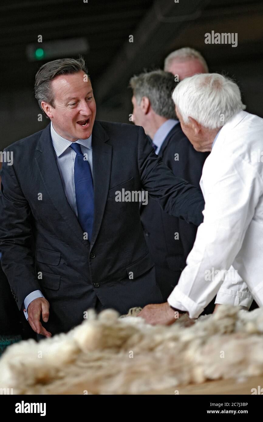 Welsh sheep shearing hi-res stock photography and images - Alamy