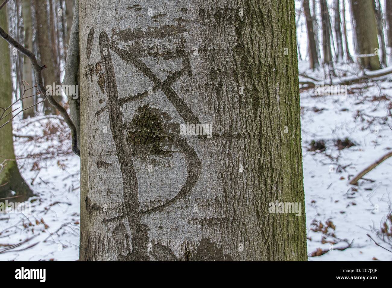 Carving letters in wood hi-res stock photography and images - Alamy