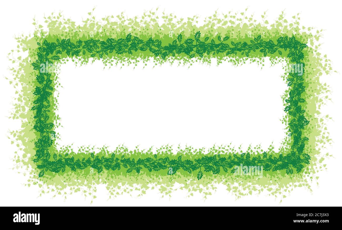 Foliage border frame. Tree branches, leaves. Forest summer day Stock ...