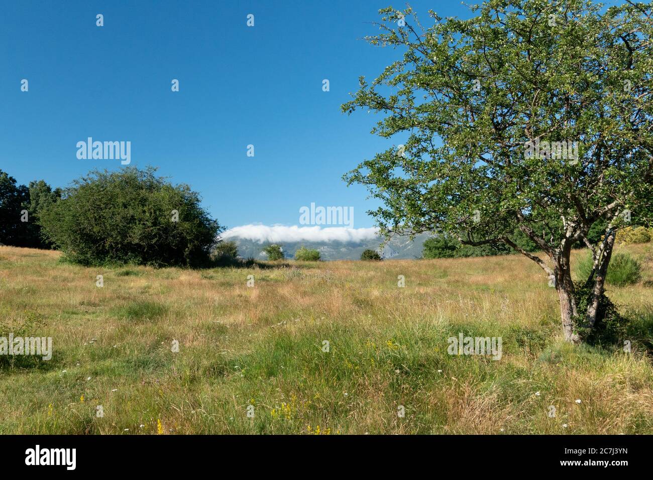 Hiking route through the Peña Tremaya. Palencia. Spain Stock Photo - Alamy