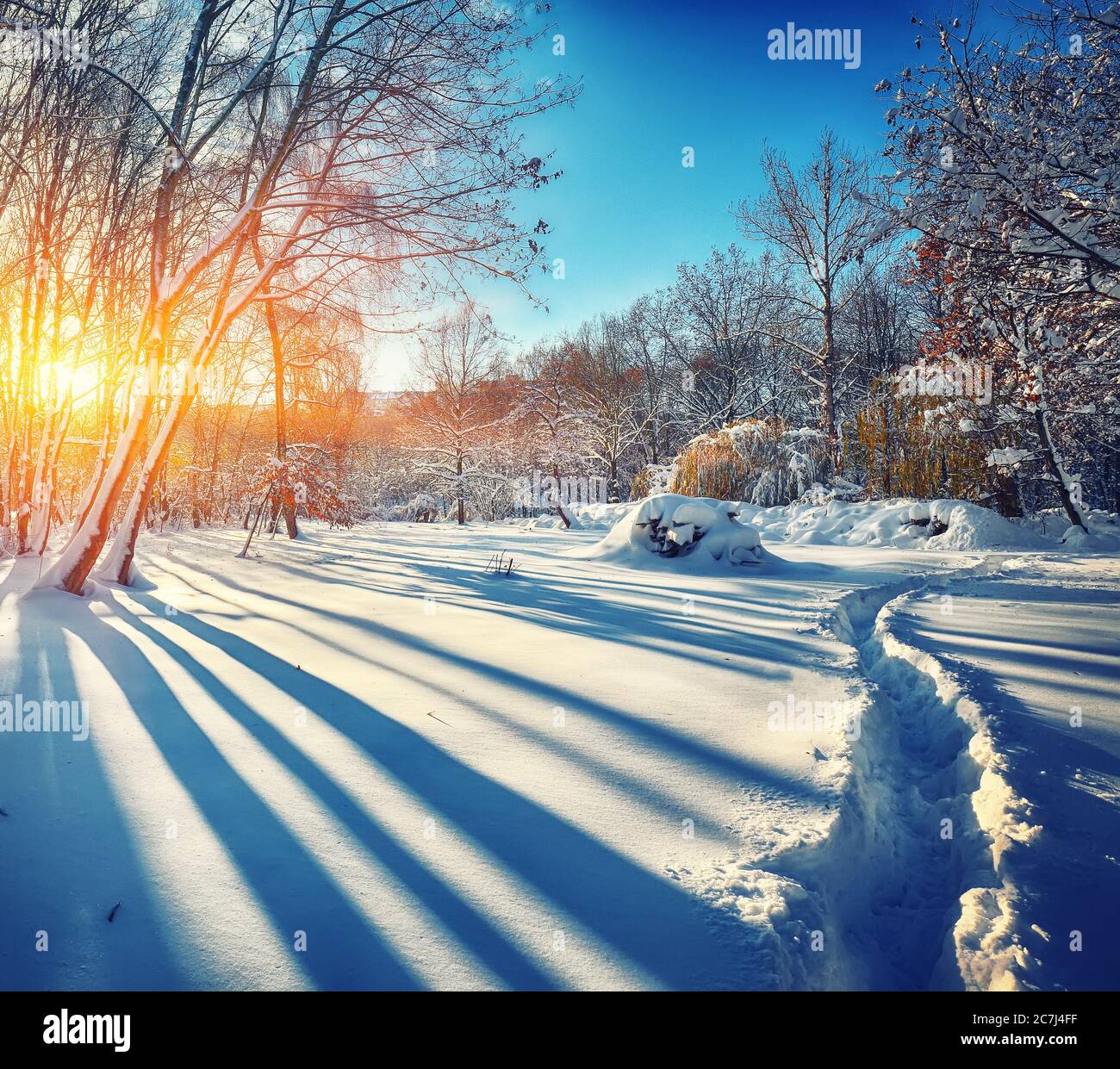 Beautiful winter sunset with trees in the snow. twilight Stock Photo ...