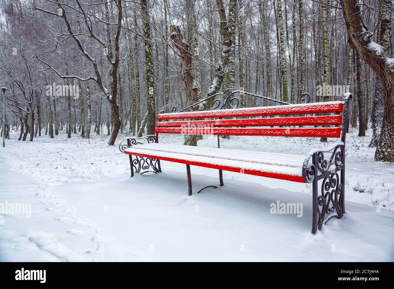 Bench covered snow trees hi-res stock photography and images - Alamy