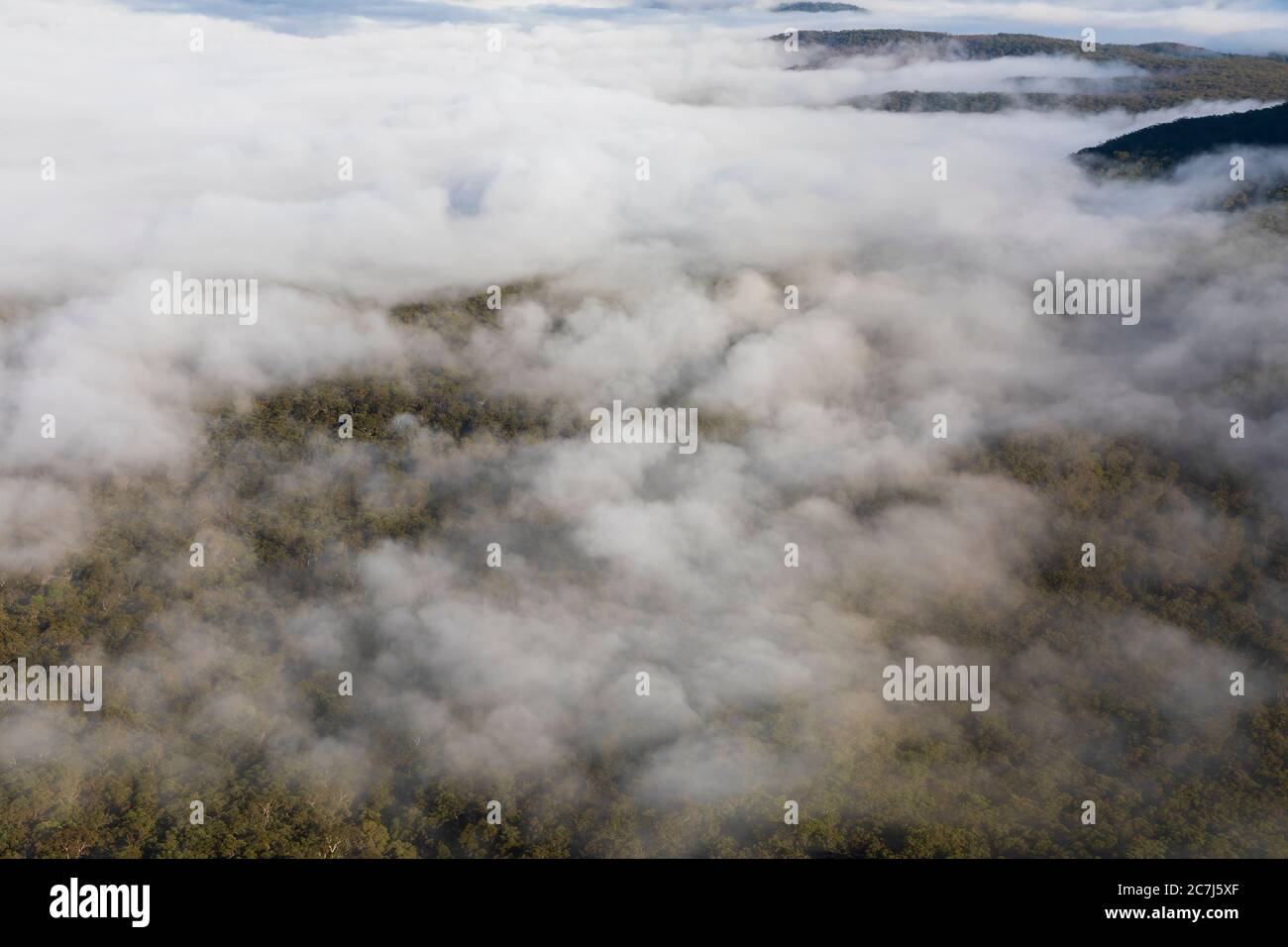 Low level clouds in the Jamison Valley near Katoomba in The Blue ...