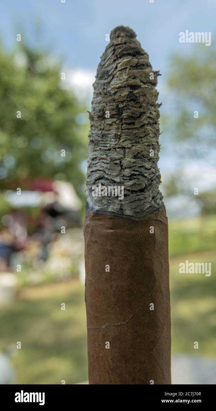 Cigar with long ash hi-res stock photography and images - Alamy