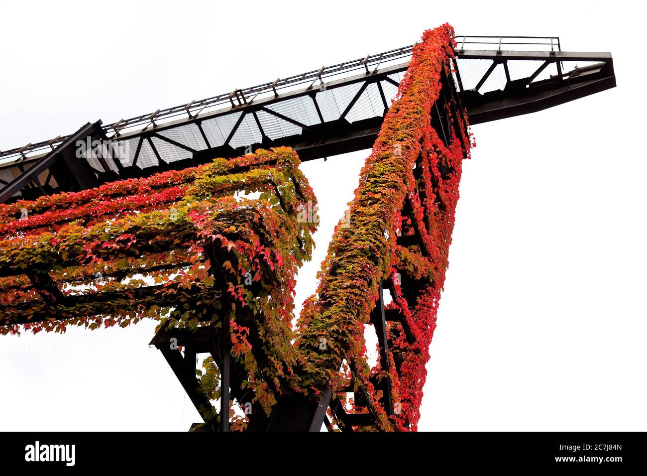 Overgrown park hi-res stock photography and images - Alamy