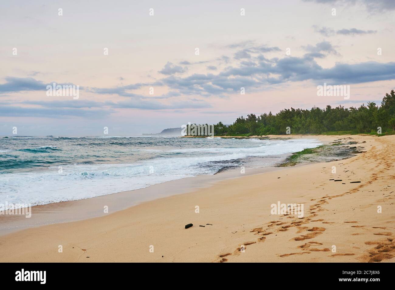 tropical beach on Oahu, USA, Hawaii, Oahu Stock Photo - Alamy