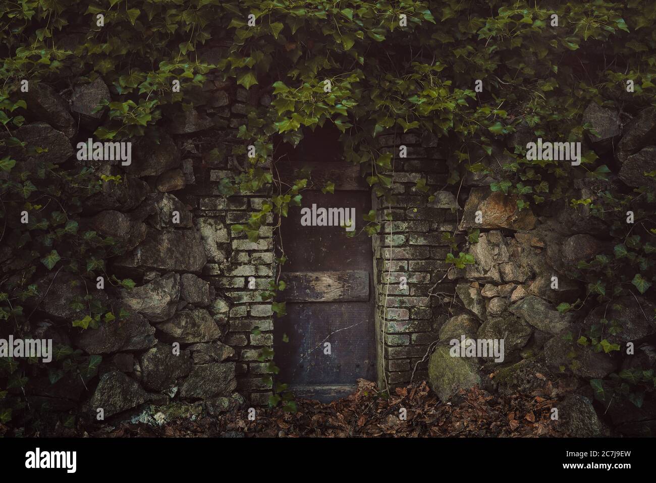 Strange door covered by ivy. Fantasy and surreal Stock Photo - Alamy