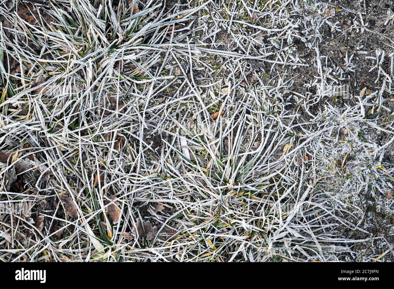 High angle shot of a land texture with dry grass growing in the soil ...