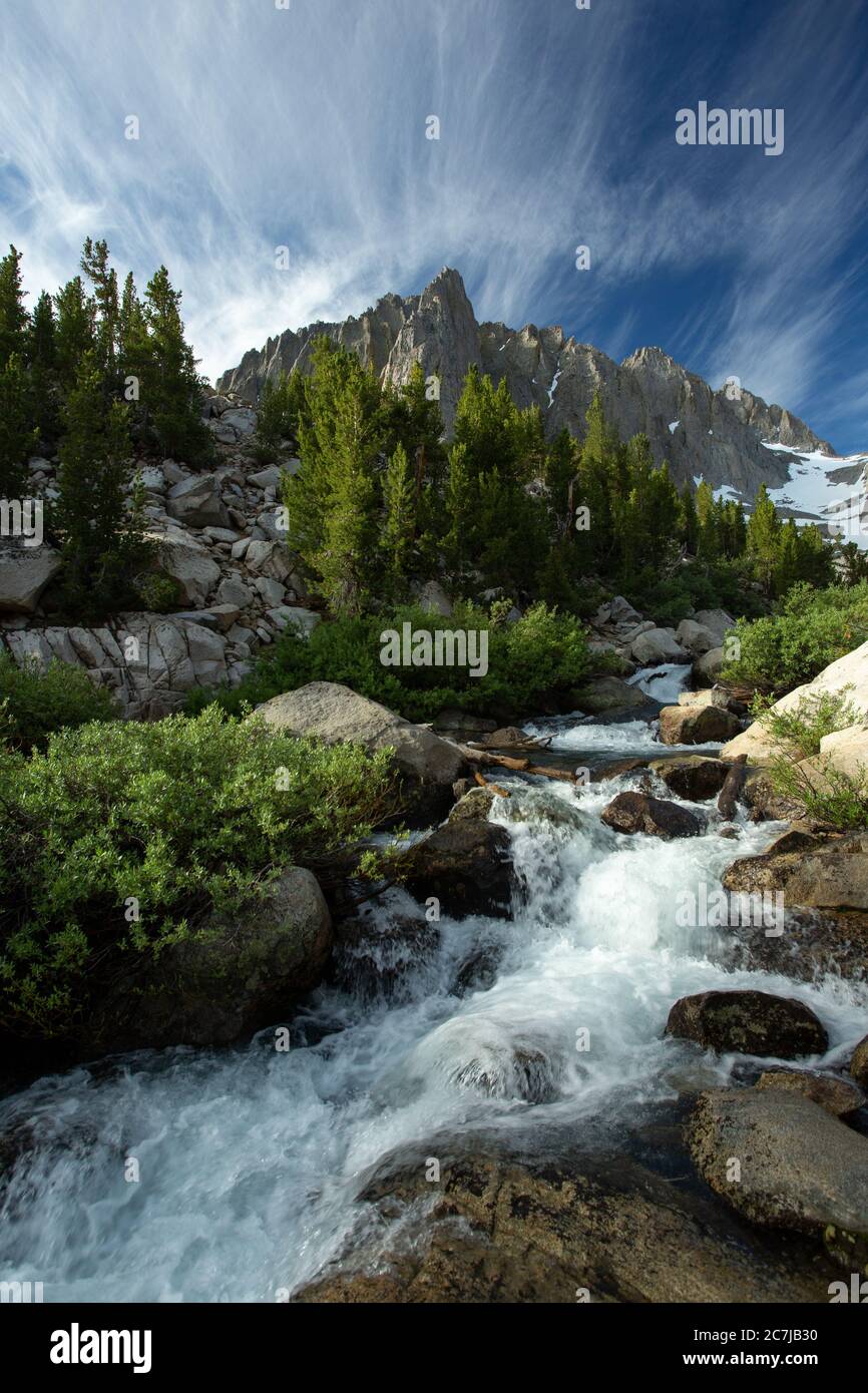 Vertical shot of a breathtaking natural scenery with a foamy river in ...