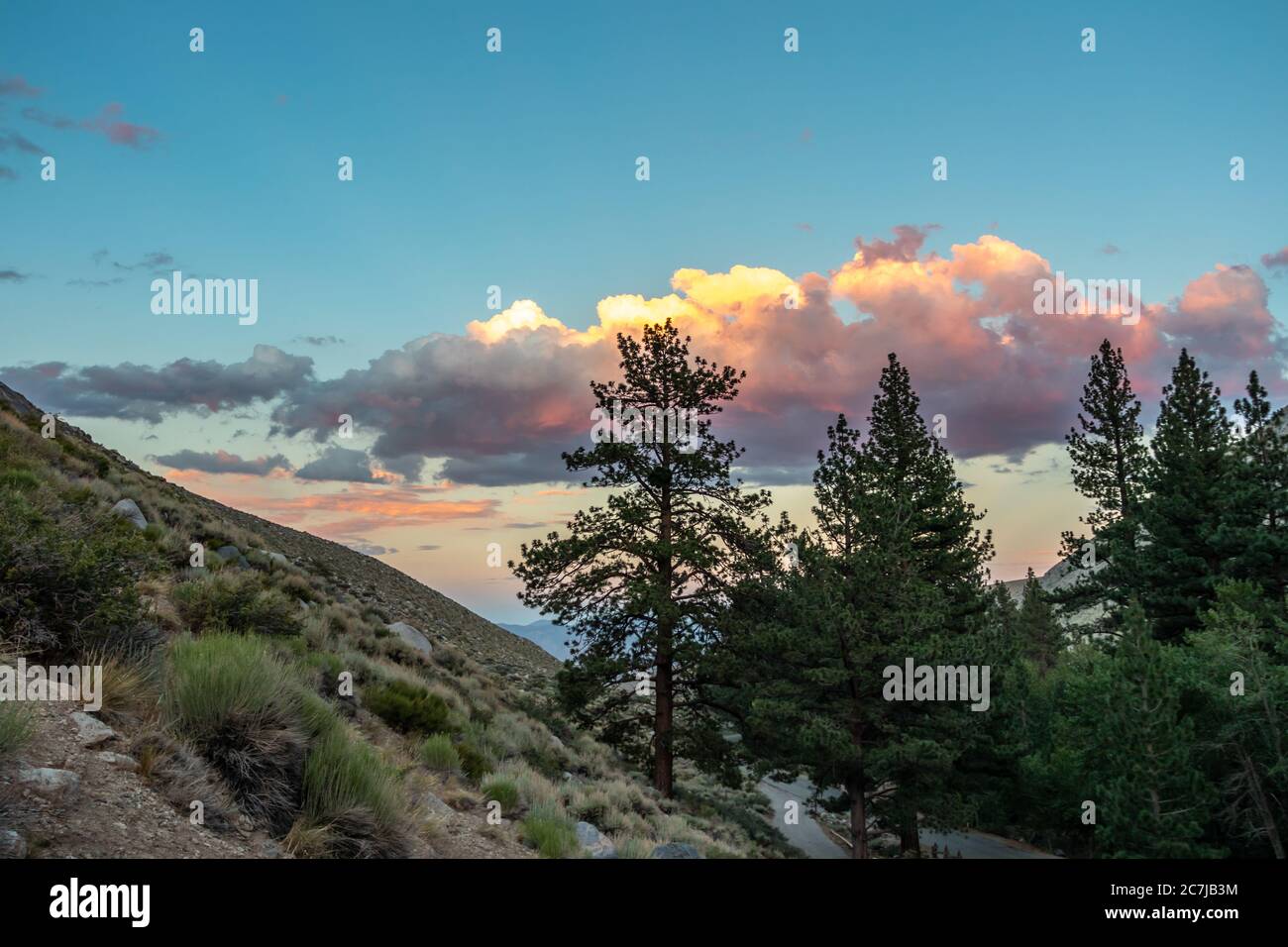 High angle shot of trees in the hills and the bright clouds in the sky ...