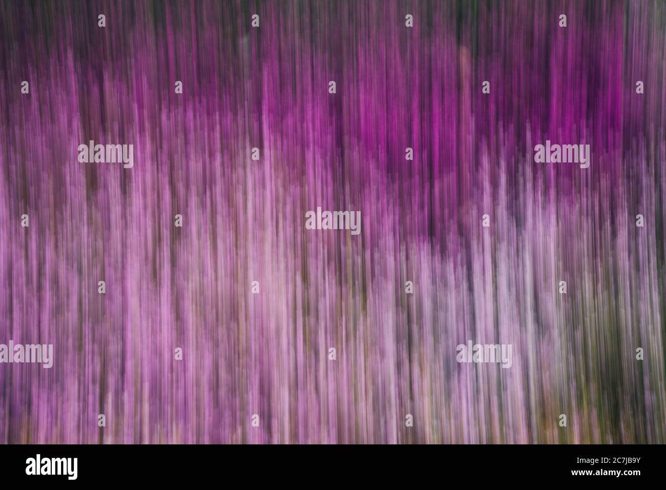 Long exposure combined with wiping motion Stock Photo - Alamy