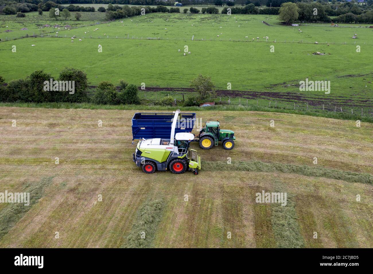 Aerial drone photograph of harvesting silage with the Class Jaguar 970 ...