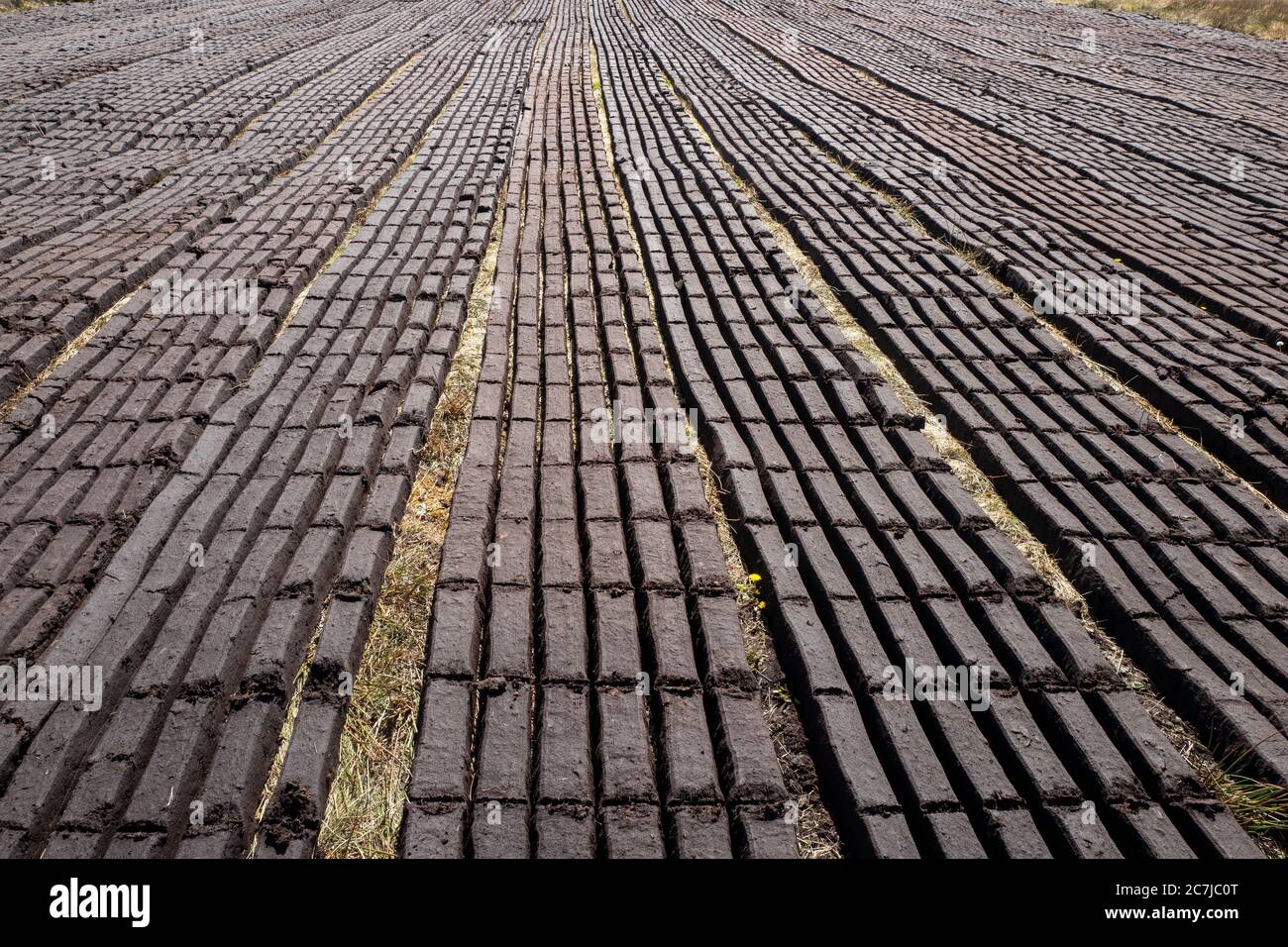 Lines of turf from a peat bog laid out ready for footing in County ...