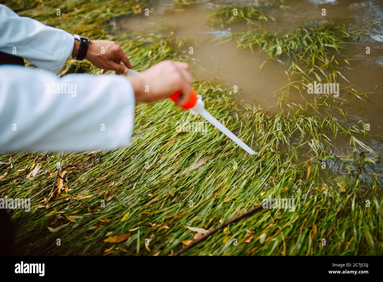 People taking biological samples hi-res stock photography and images ...