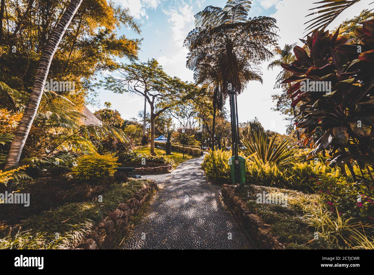 Beautiful shot of a pathway in the middle of trees and plants at ...