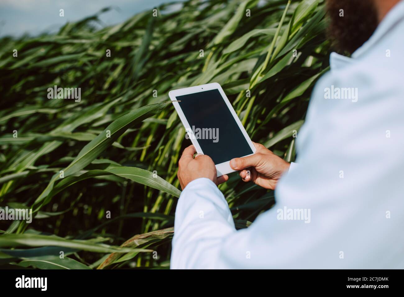 Closeup of tablet computer in the hand male caucasian technologist ...